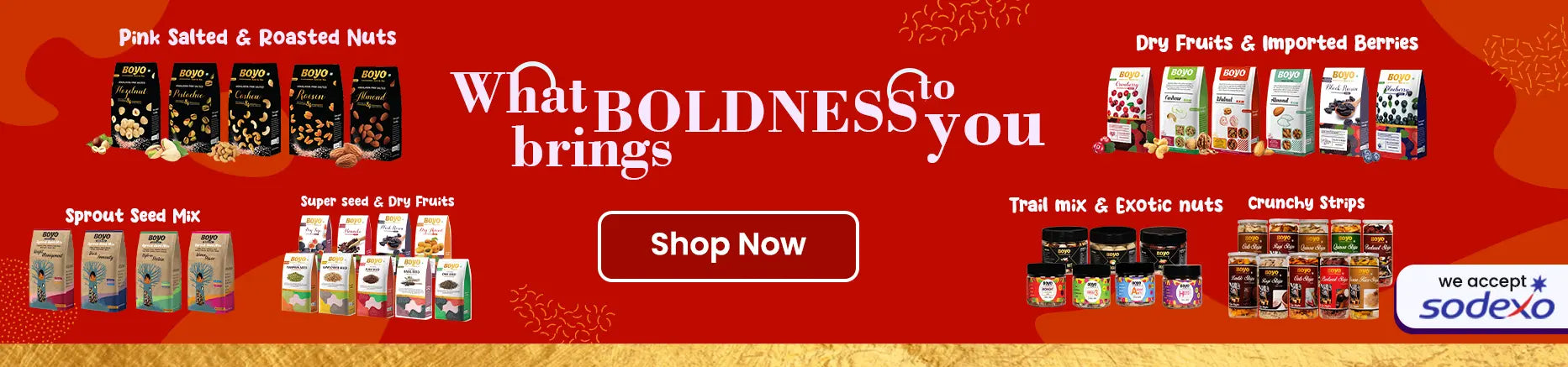 Premium Nuts, Seeds & Dry Fruits | Roasted & Raw-BoYo